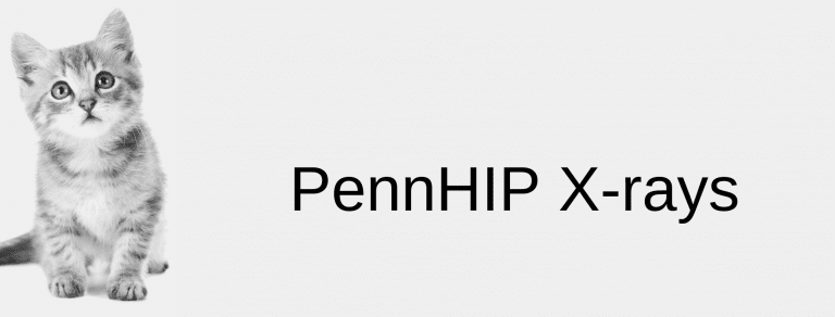 PennHIP Treatment for Dogs | Kedron Veterinary Clinic